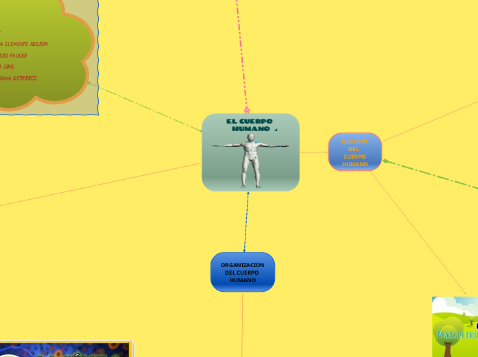 EL CUERPO HUMANO - Mind Map